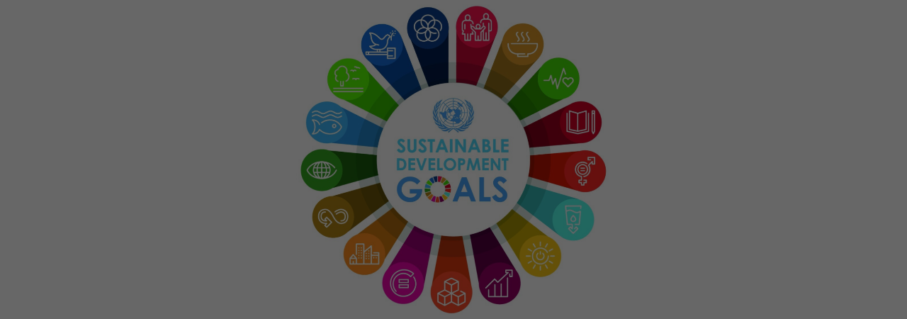 Environment, Sustainability, and Human Rights | GGTC