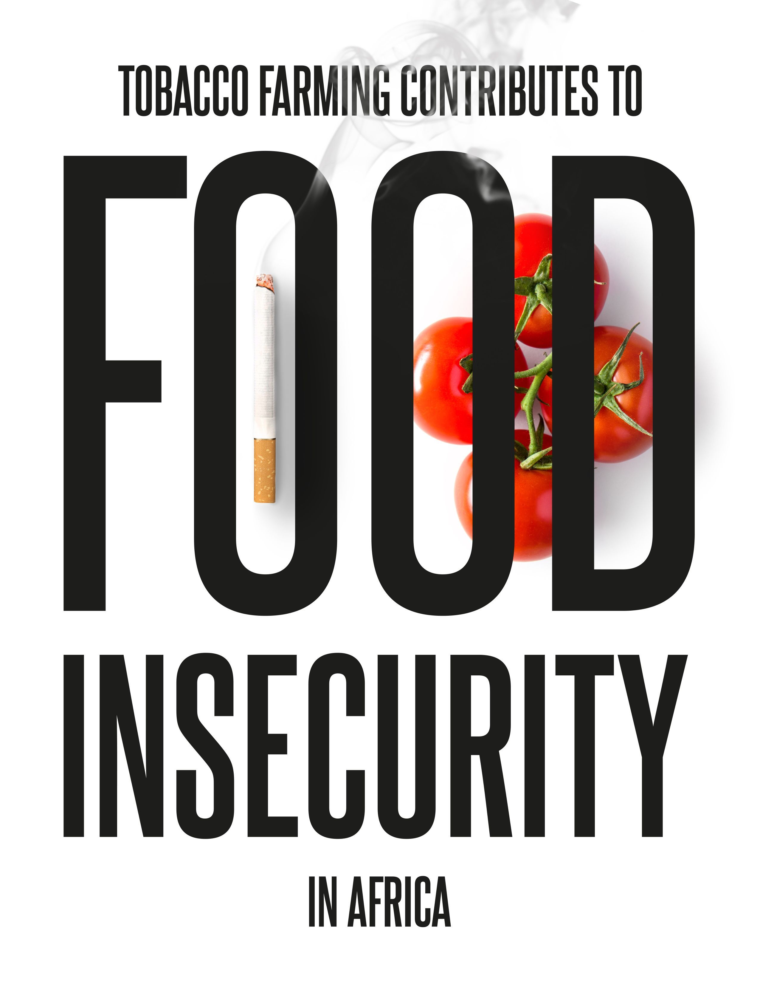 Food Insecurity in Africa (Global Media Competition 2021 - Finalist ...